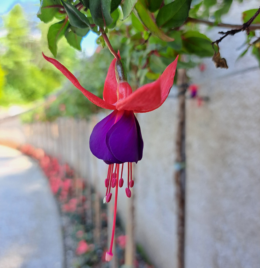 SQL Database with Python | A step-by-step guide | Analytics Vidhya