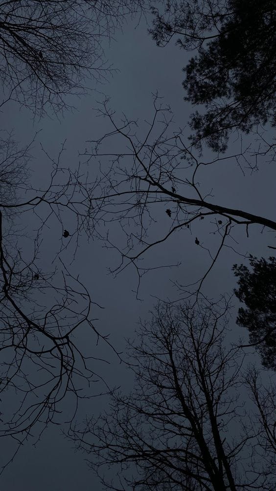 “MOON IS BEAUTIFUL” - Lilic - Medium
