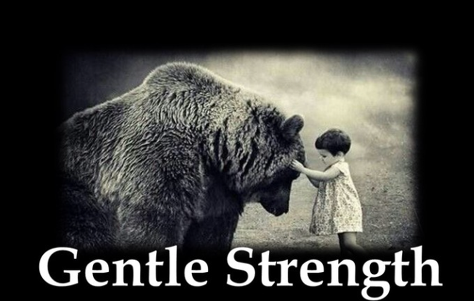 “A Ceiling’s Lesson: 8 Minutes to Gratitude” | by Jassila Sikkandar ...