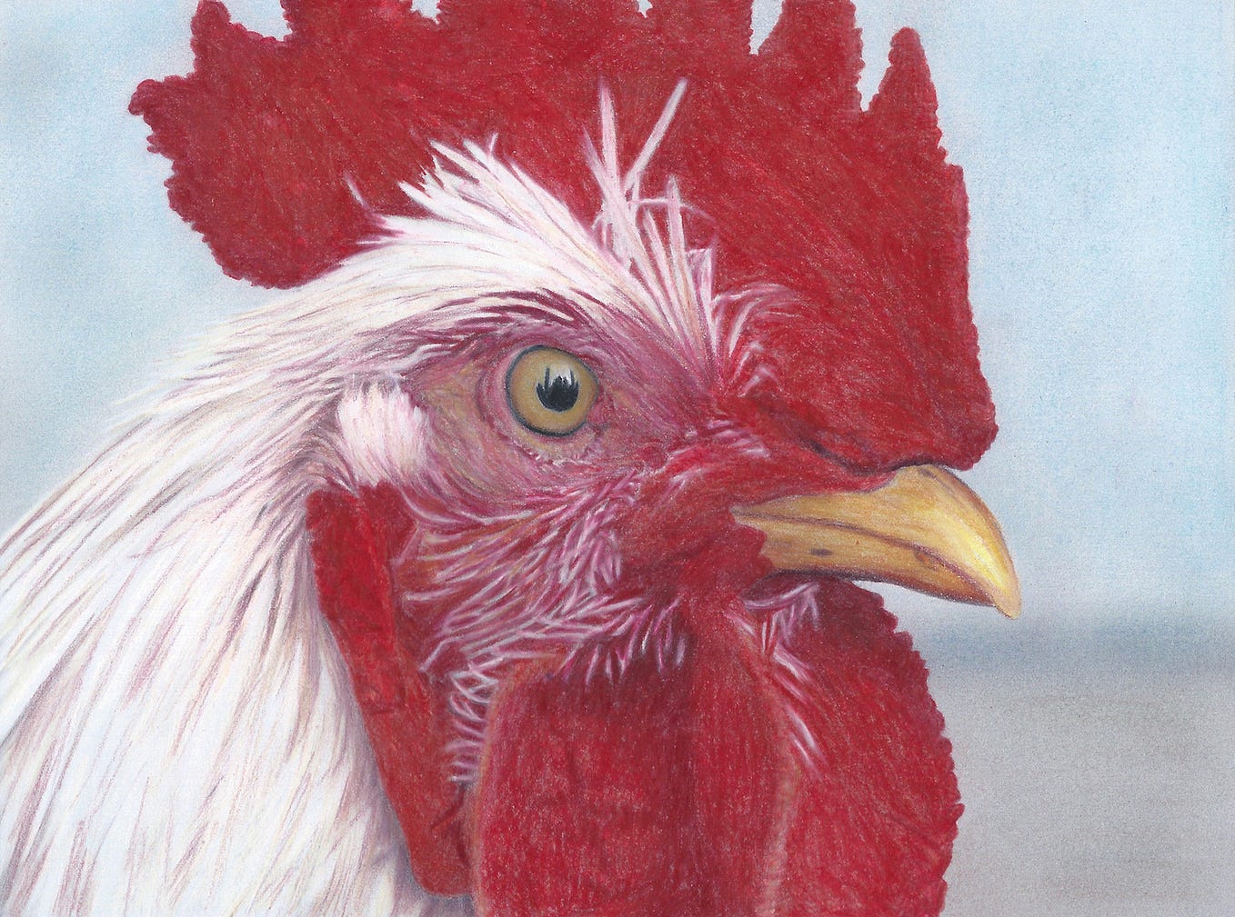 10 Fabulous Grayscale Coloring Tips | by Nicole Stocker | Medium