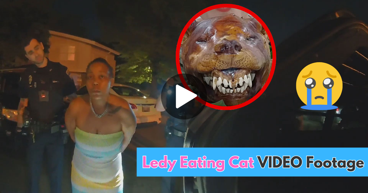 Watch: Canton Ohio Woman Eats Cat Original Video Reddit Twitter | by ...