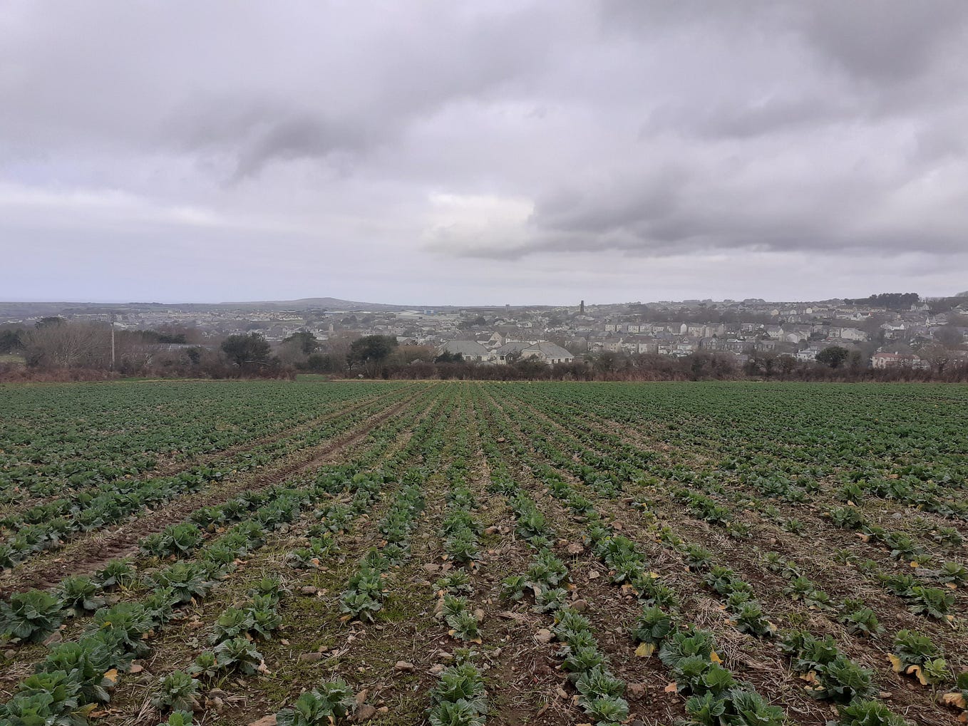 Lanner short circular | Redruth and Lanner Walks
