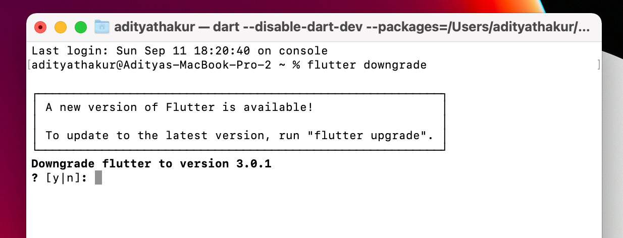 OpenAI x Flutter: How to build a gift recommender using OpenAI API | by Aditya Thakur | Level Up ...