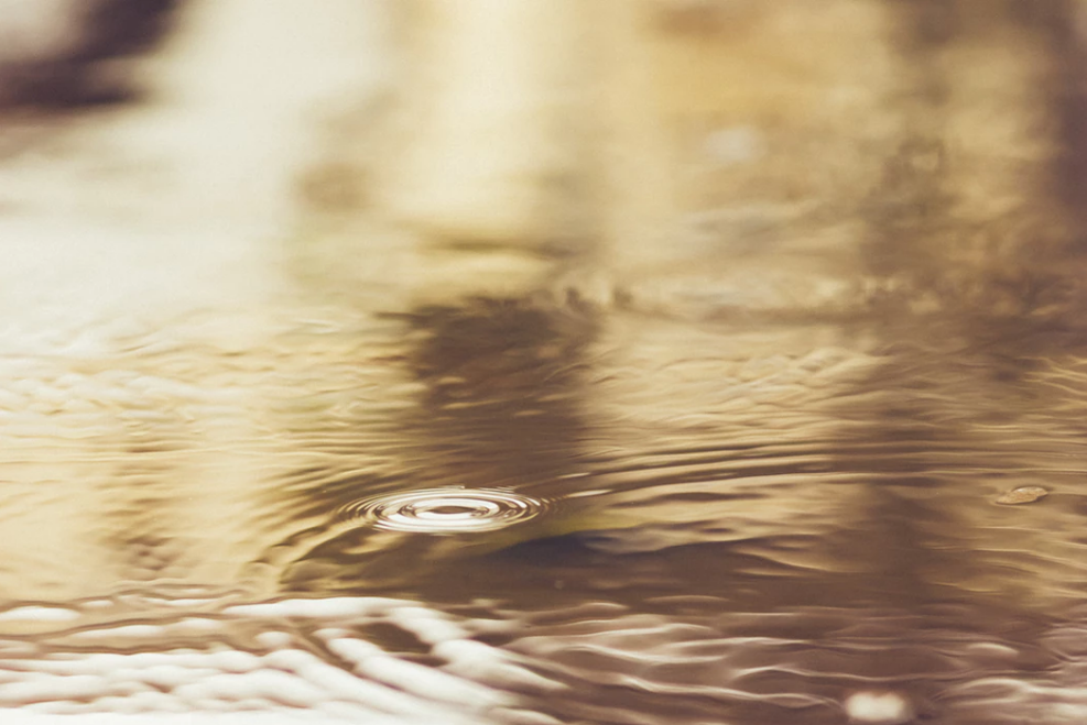 9 Types of Consensus Mechanisms That You Didn’t Know About | by Daily ...