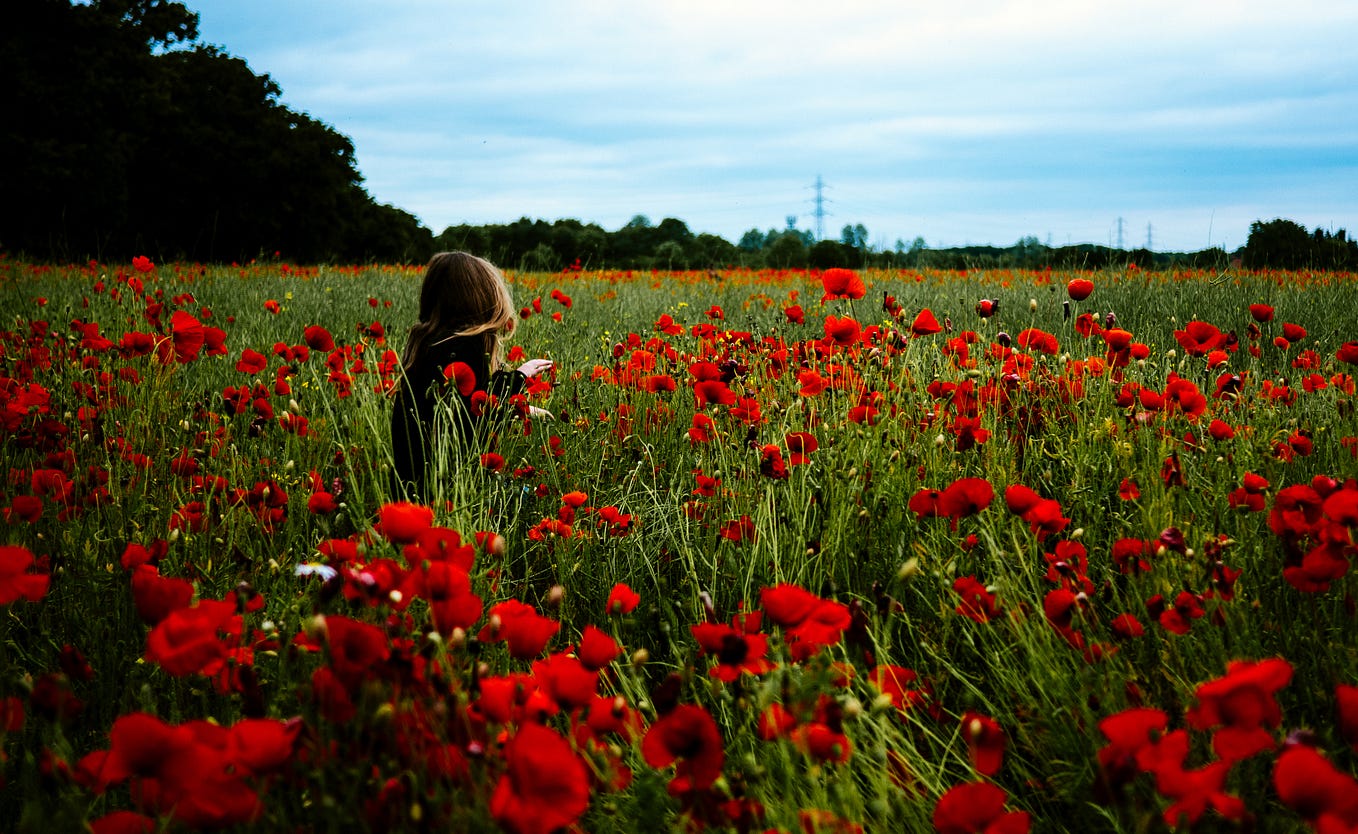 Why Is Vision Important?. Life without vision is nothing but a… | by ...