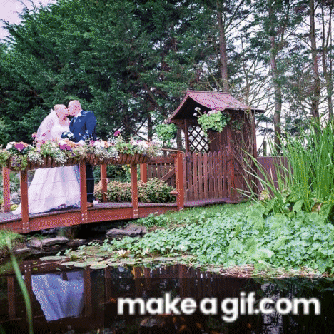 Best London Photography. Finding for the Best London Photography… | by ...