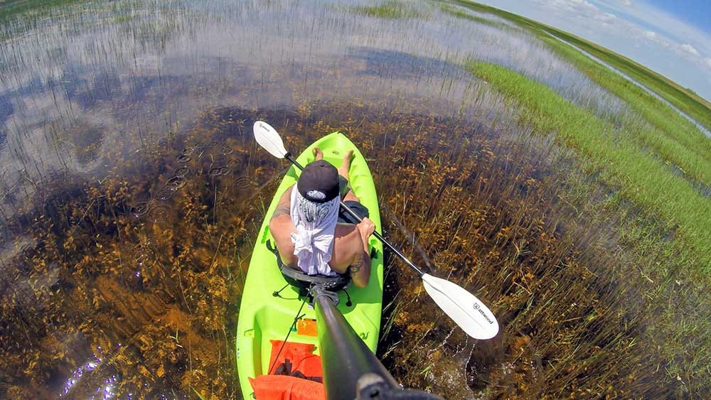 Watery Miami — Kayak Adventures. Welcome to my journey across 120 miles ...