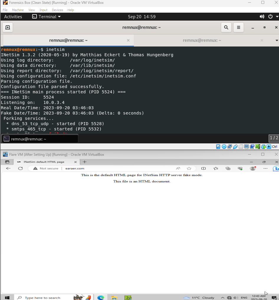 Flare Vm — Windows Malware Analysis By Whoami Medium