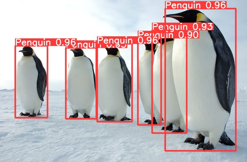 Mastering Object Counting in Videos | by Lihi Gur Arie, PhD | Towards ...