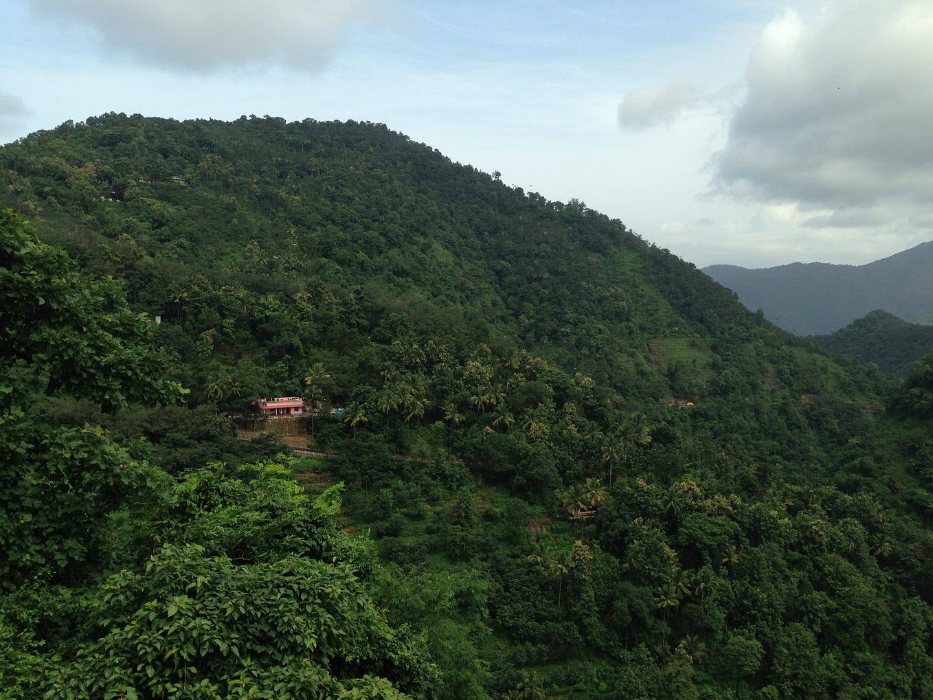 Finding a Malayali Portuguese. It was a small mention that led me to ...