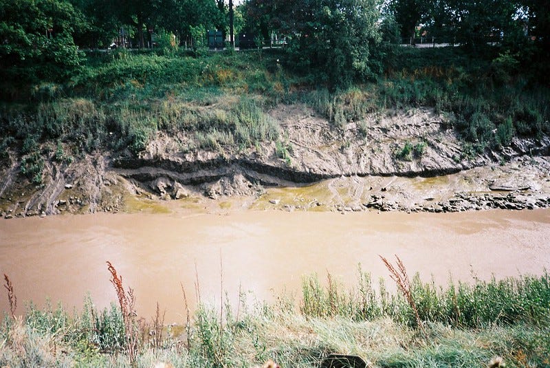 The forgotten Mithi: This neglected Mumbai river highlights the city’s ...