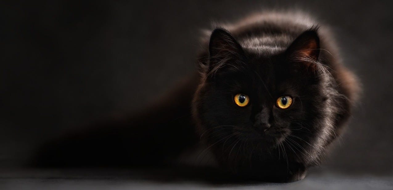 Tuning Lazy Stacks and Grids in SwiftUI: A Performance Guide | by Wesley Matlock | Medium