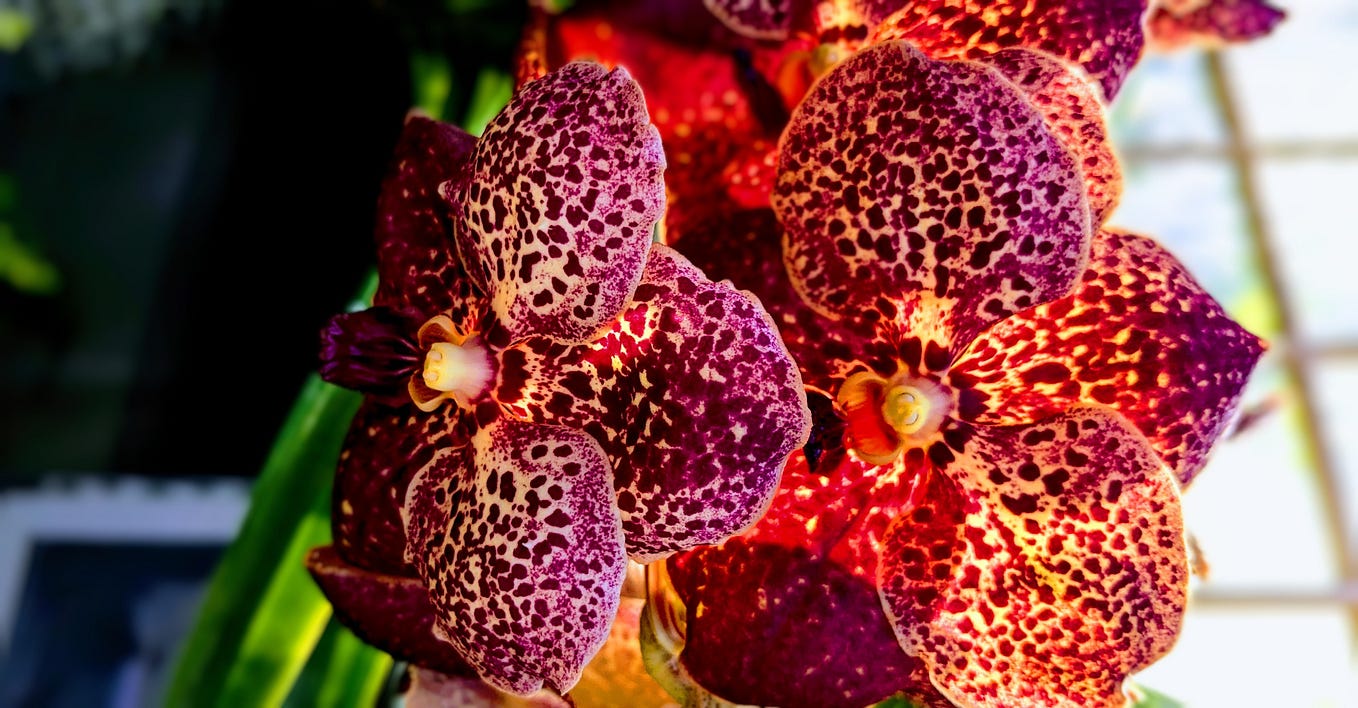 Election Stories: Sloppy Data Entry | by Jamie Virostko | Medium