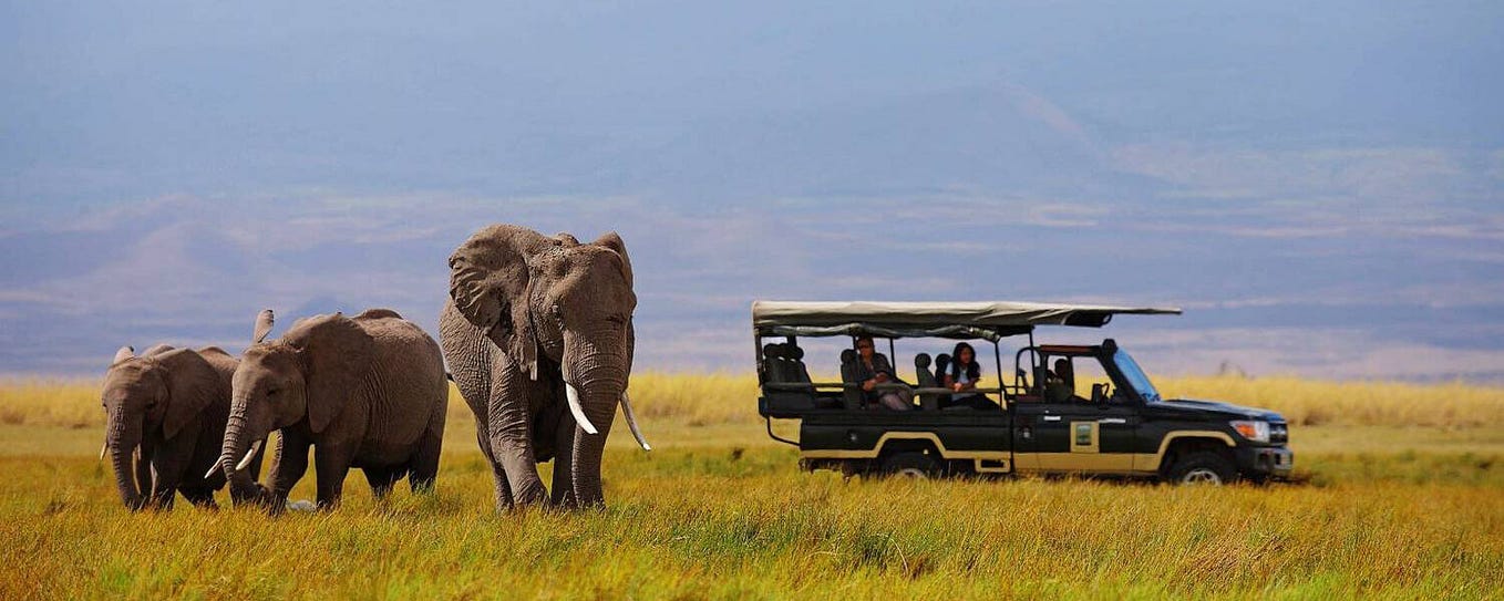 Professionally Guided Safaris In Kenya And Their Top Benefits | by ...