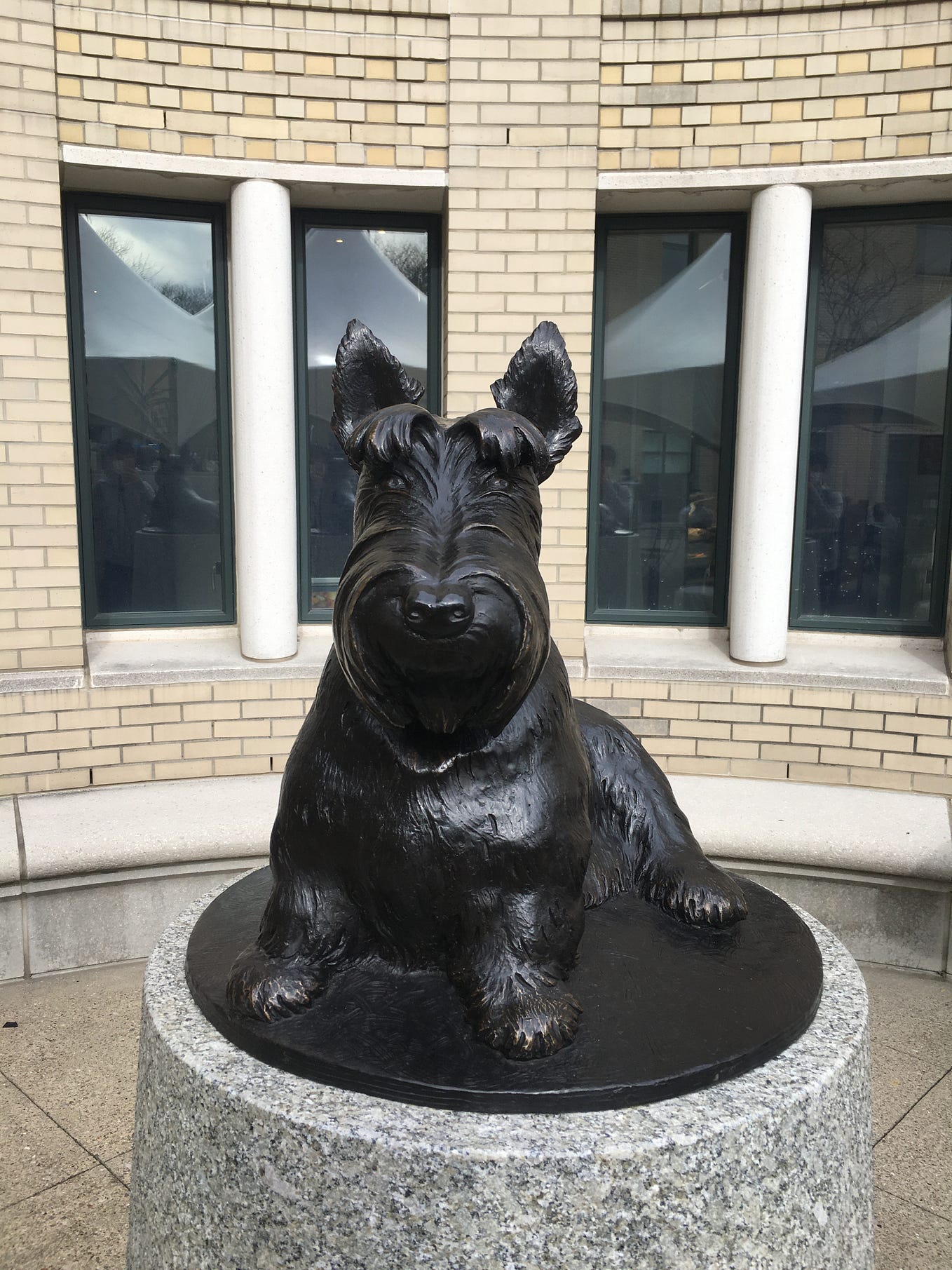 [CMU MISM-BIDA] 選校之前你會想知道的MISM十題QA | by Jack Chang | As a Graduate Student in Data | Medium