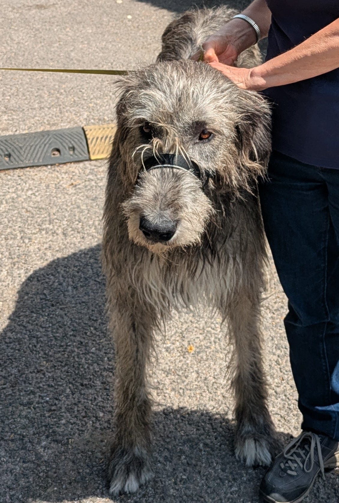 A nutty personality quiz? Now that's a new one on me. You're hilarious ...