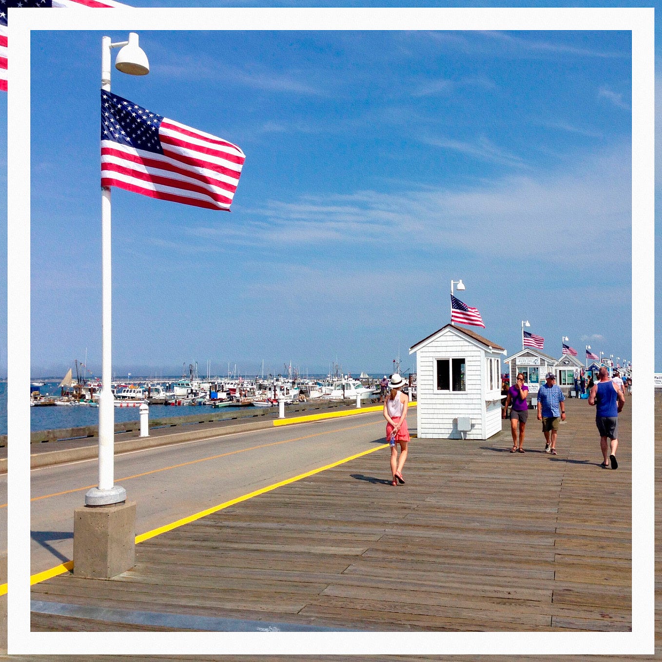 How NOT to Identify a Venomous Snake | by Micha Petty | The Natural ...