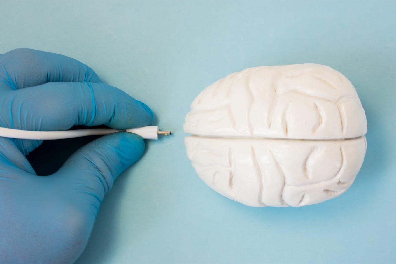 DARPA and the Brain Initiative. DARPA and the Brain Initiative | by Dr ...