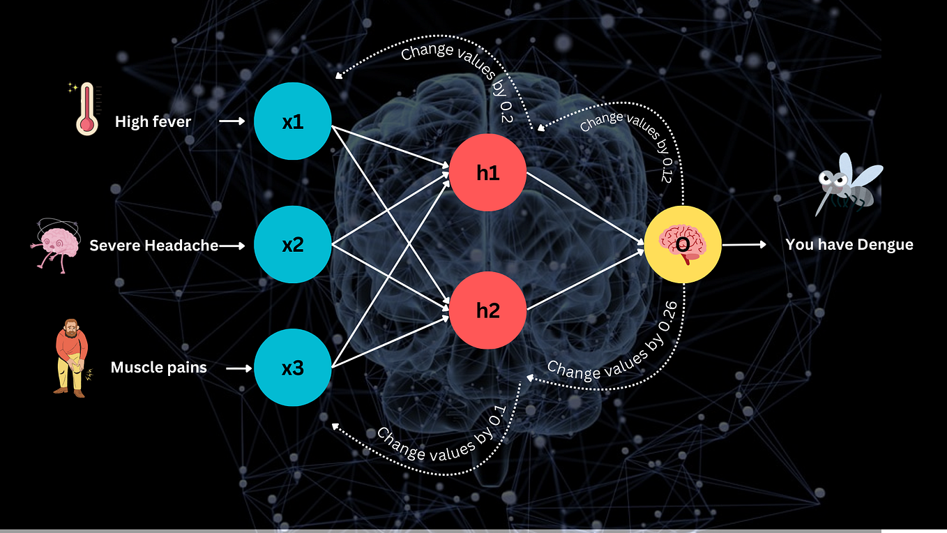 Understanding Multi-Layer Perceptrons (MLP): The Backbone of Deep ...