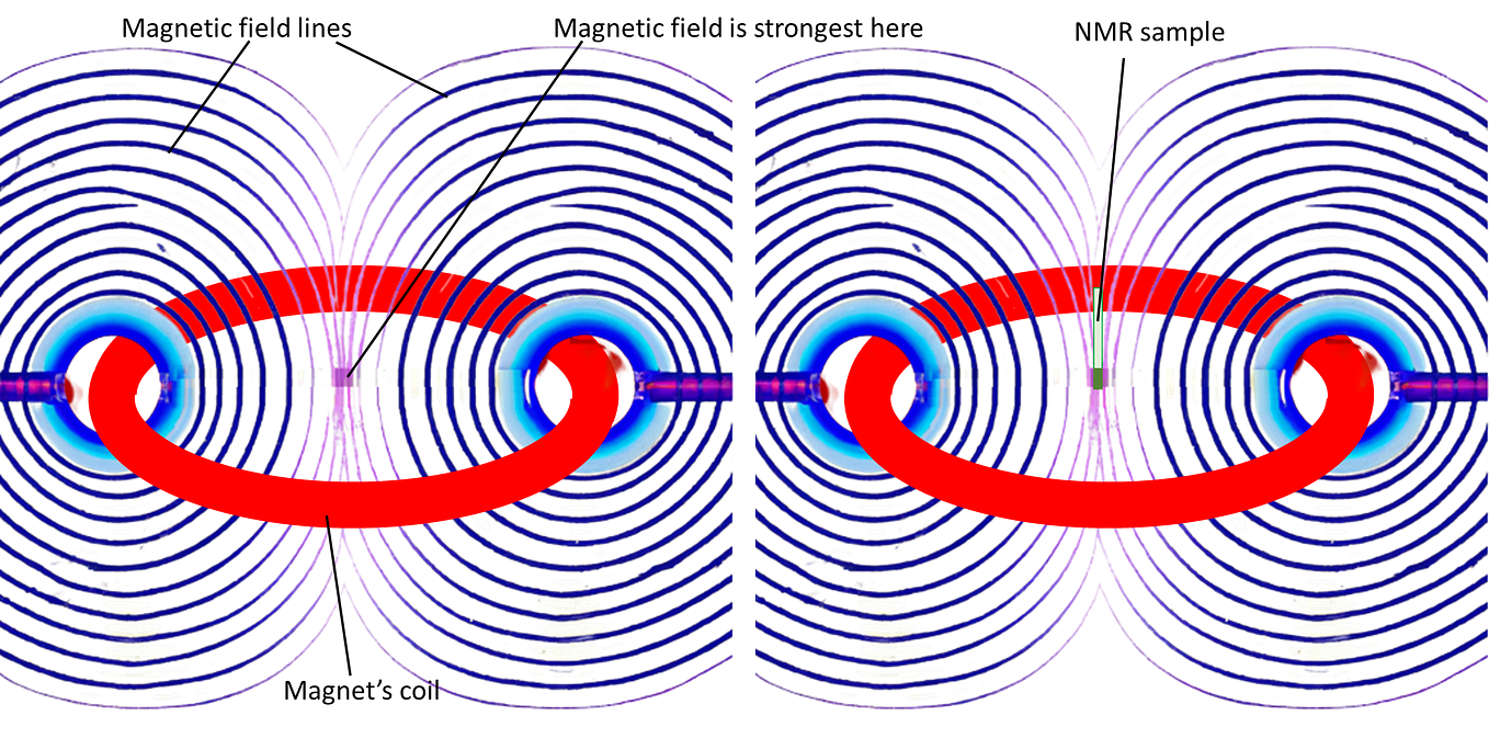 How to predict protein structures with AlphaFold 2 using ColabFold | by LucianoSphere (Luciano ...