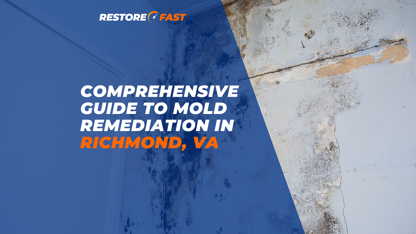 Mold: The Unseen Threat Lurking in Your Home | by RestoreFast | Medium
