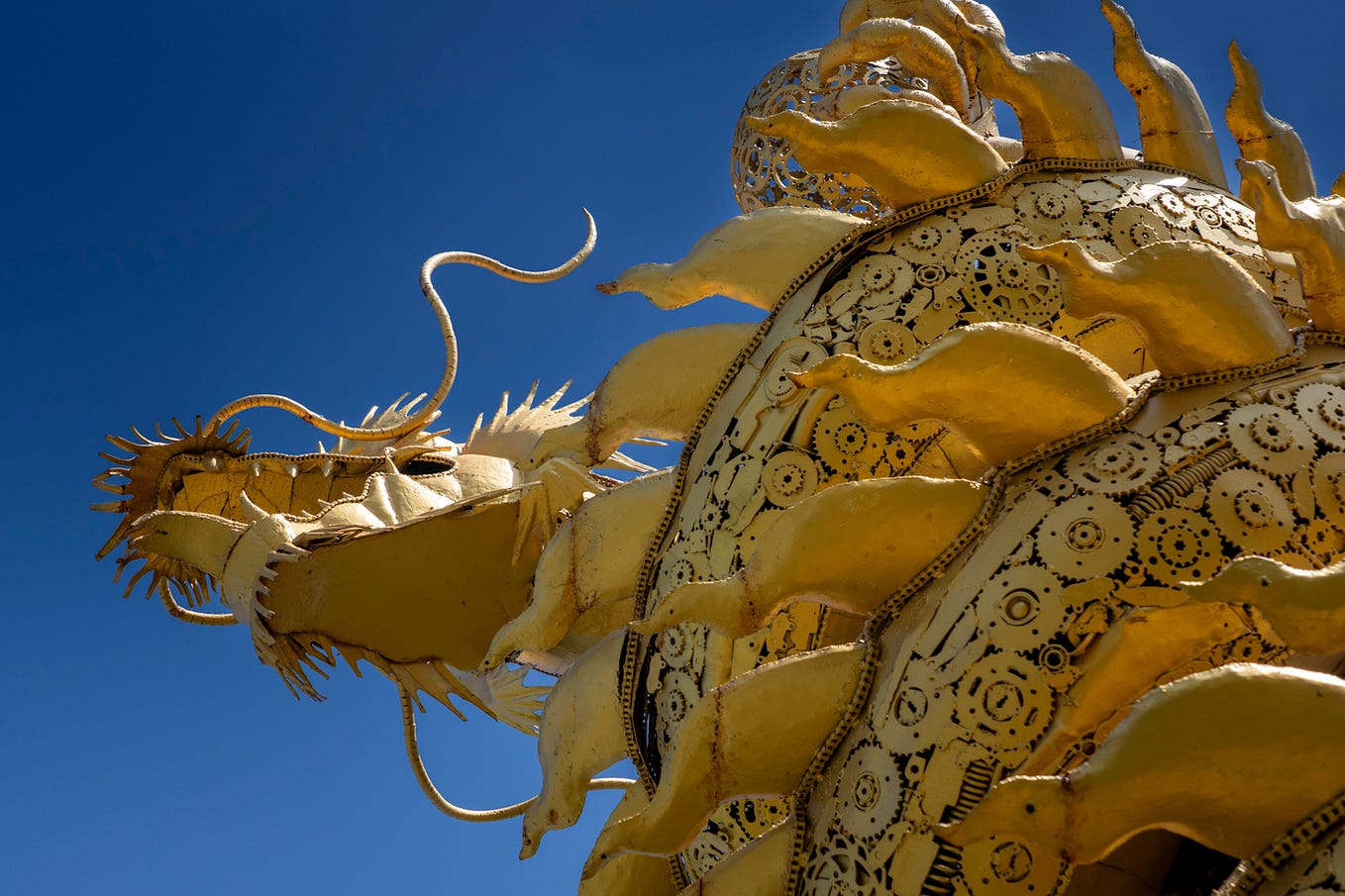 Understanding Perspective “Distortion” in Photography | by Chuck ...