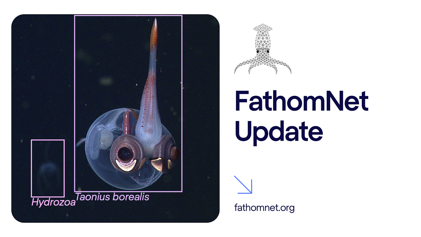 How to upload your ML model to FathomNet | by Eric Orenstein ...