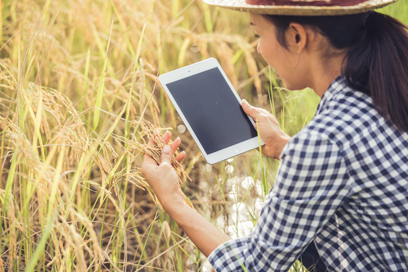 How do digital interactions in the agritech industry complement the ...