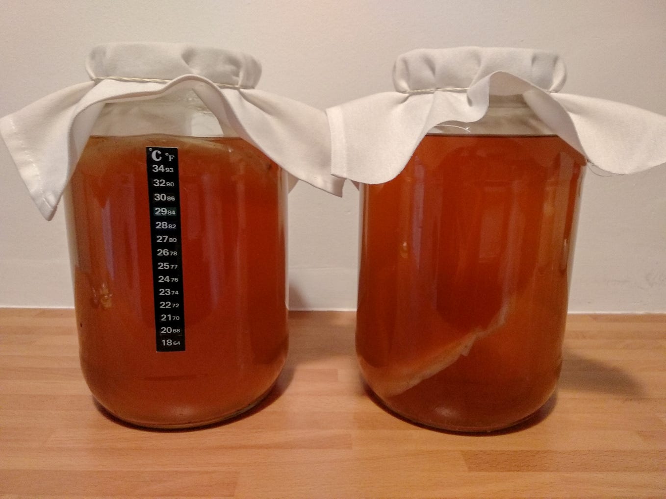 4 maneiras de beber Kombucha. A kombucha é uma bebida milenar oriunda ...