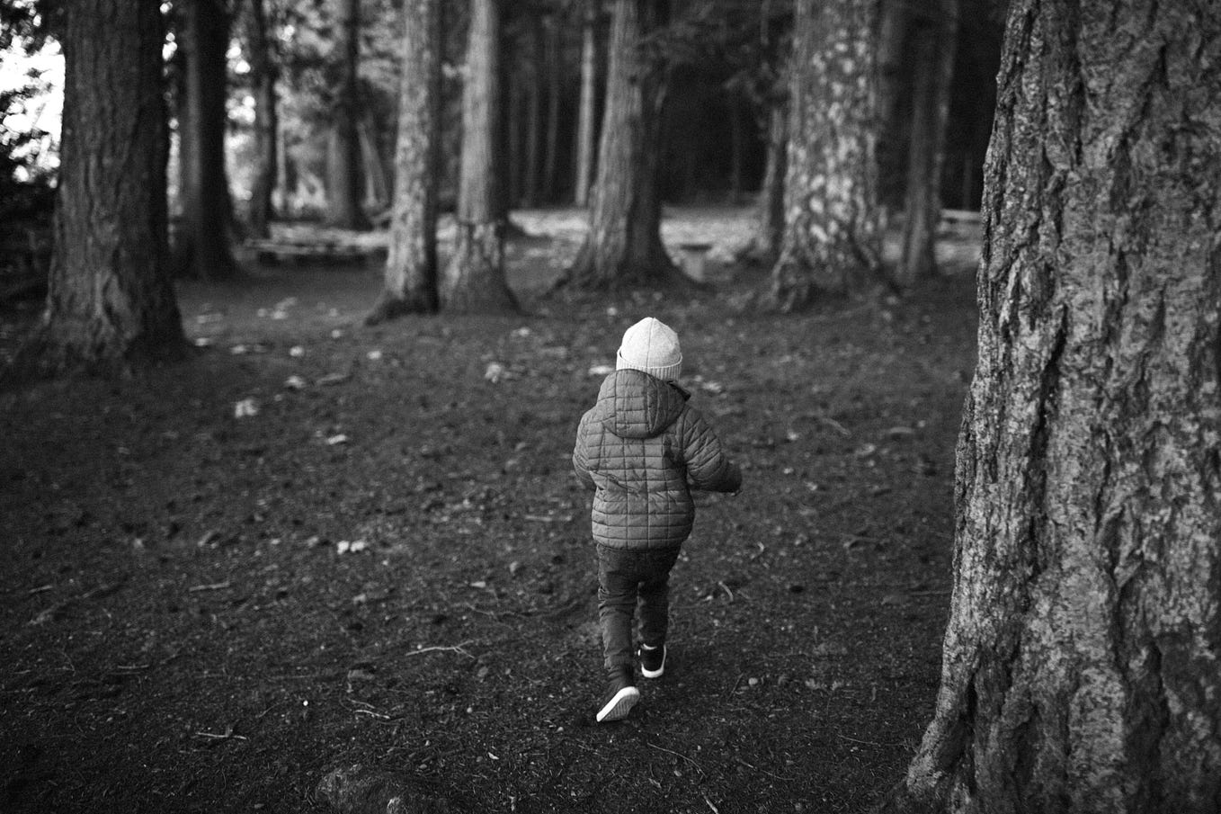 A Shady Place | by Raja Lubis | positivibes | Medium