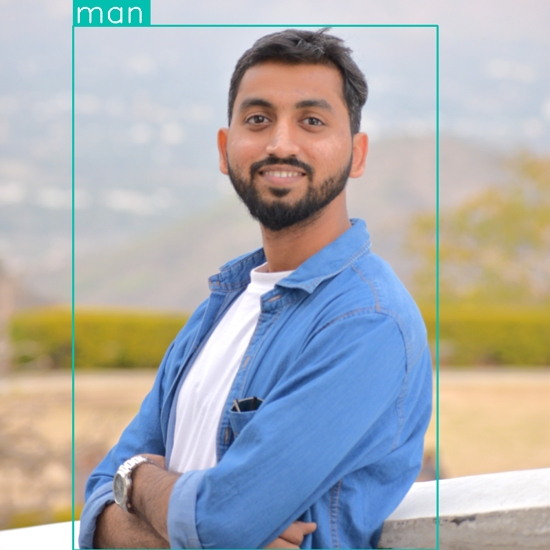 Significance of Image Labeling in AI | by Rayan Potter | Towards AI