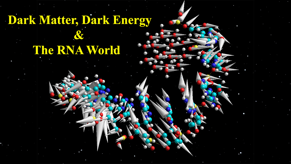 Consciousness: Microtubules, Dark Matter/Energy, Life & Black Holes ...