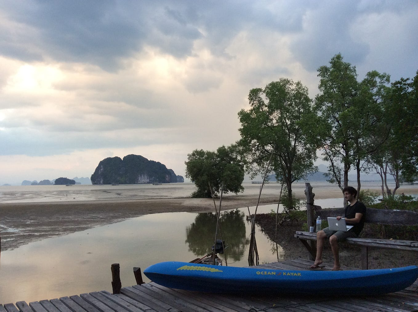 The Rise of the Self-Taught Programmer | by Cory Althoff | The Self-Taught Programmer | Medium