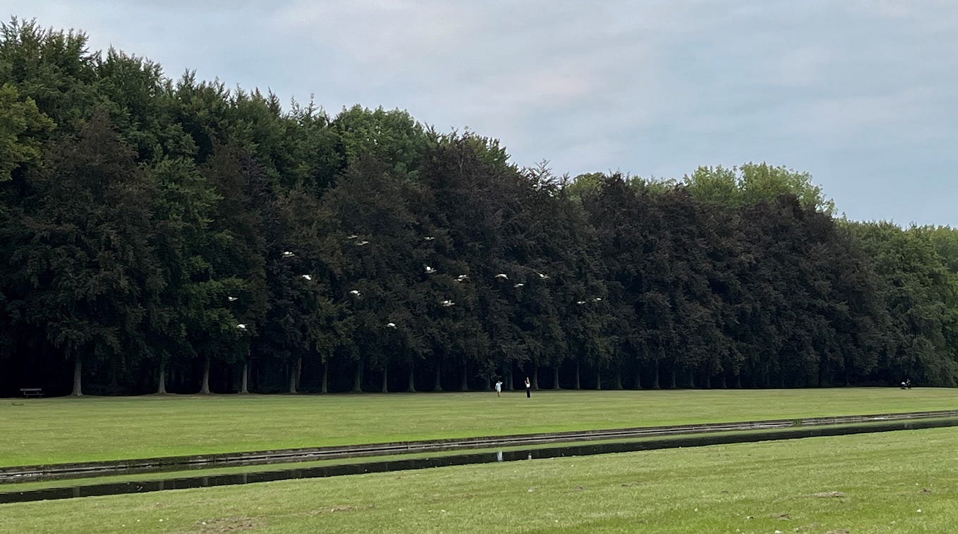 Object Oriented Programming Oop In Python By Sarah Beshr Tds Archive Medium