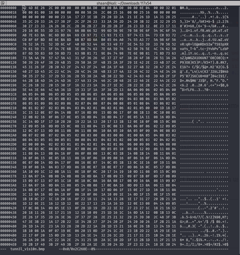 Cybertalents Digital Forensics CTF — All Challenges Write-up | by Mutawkkel Abdulrhman | Medium