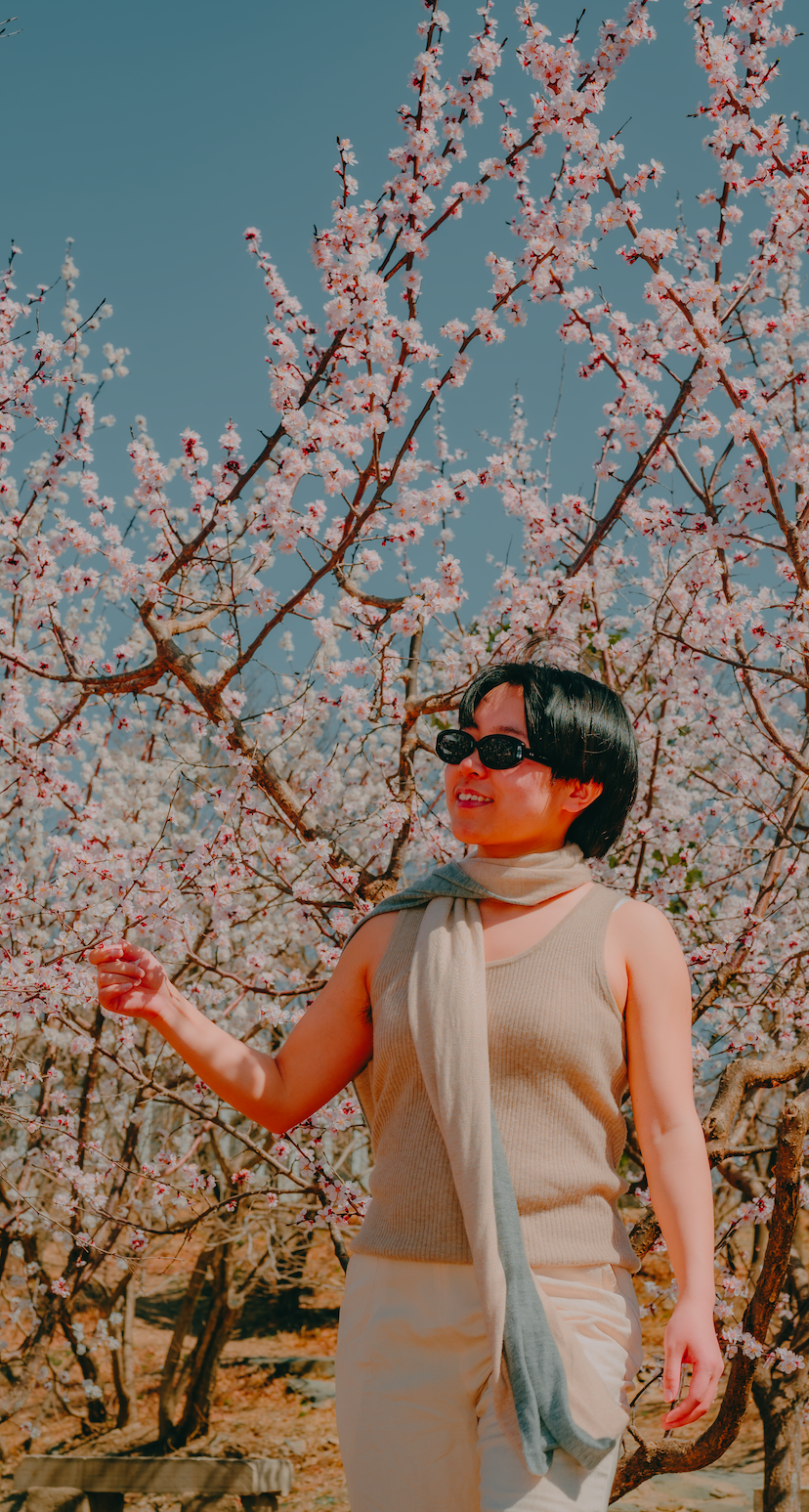 Within Reason: A survey of reasoning and inference models and techniques for generative AI ...