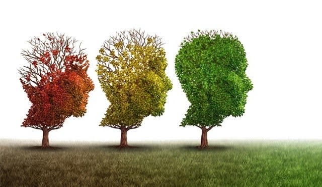 Decision making process: What happens to the brain when we make ...