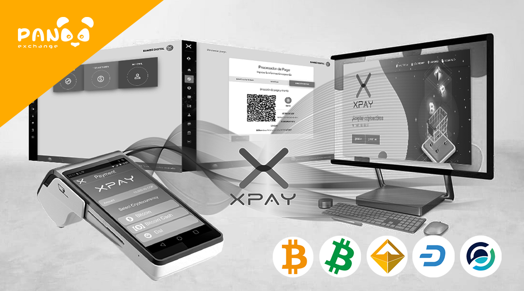 ¿Qué es Xpay?. Xpay es una plataforma que actúa como… | by Anna Lezama | Xpay | Medium