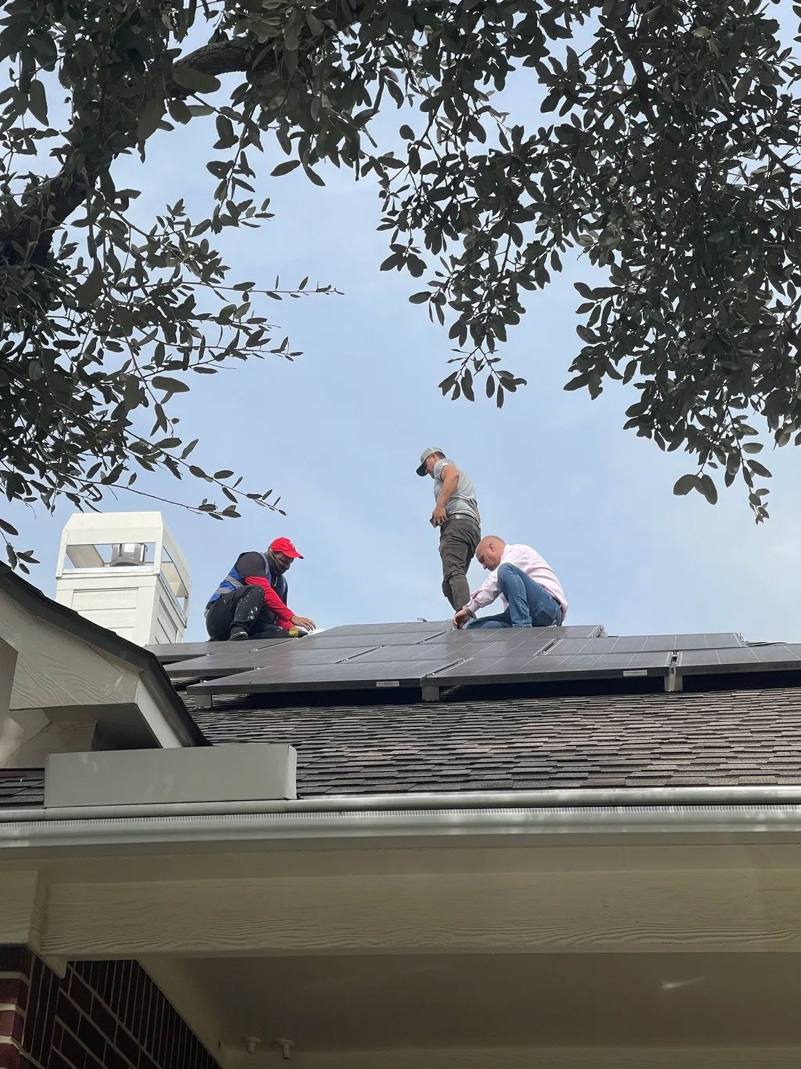 Safeguard Your Home: Critter Protection Solutions in San Antonio | by ...