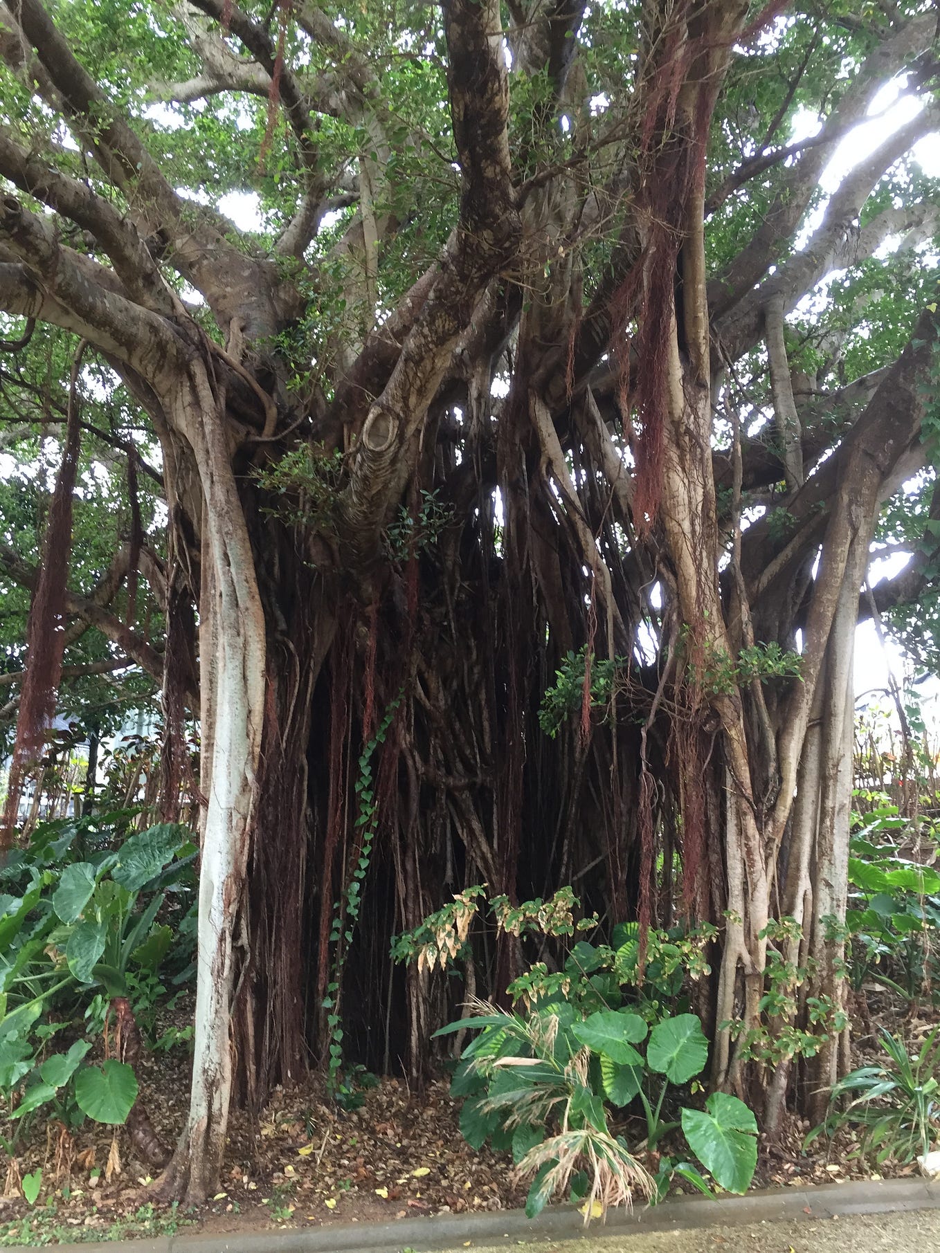 Implementing Finite Field Arithmetic in Rust | by aoi | Medium