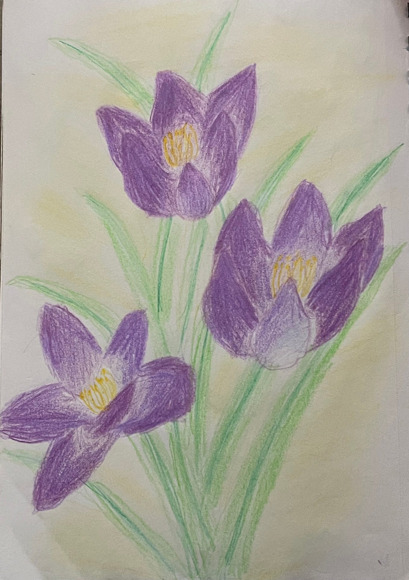 Easy drawing with Poetry - Ashuh's Wonders - Medium