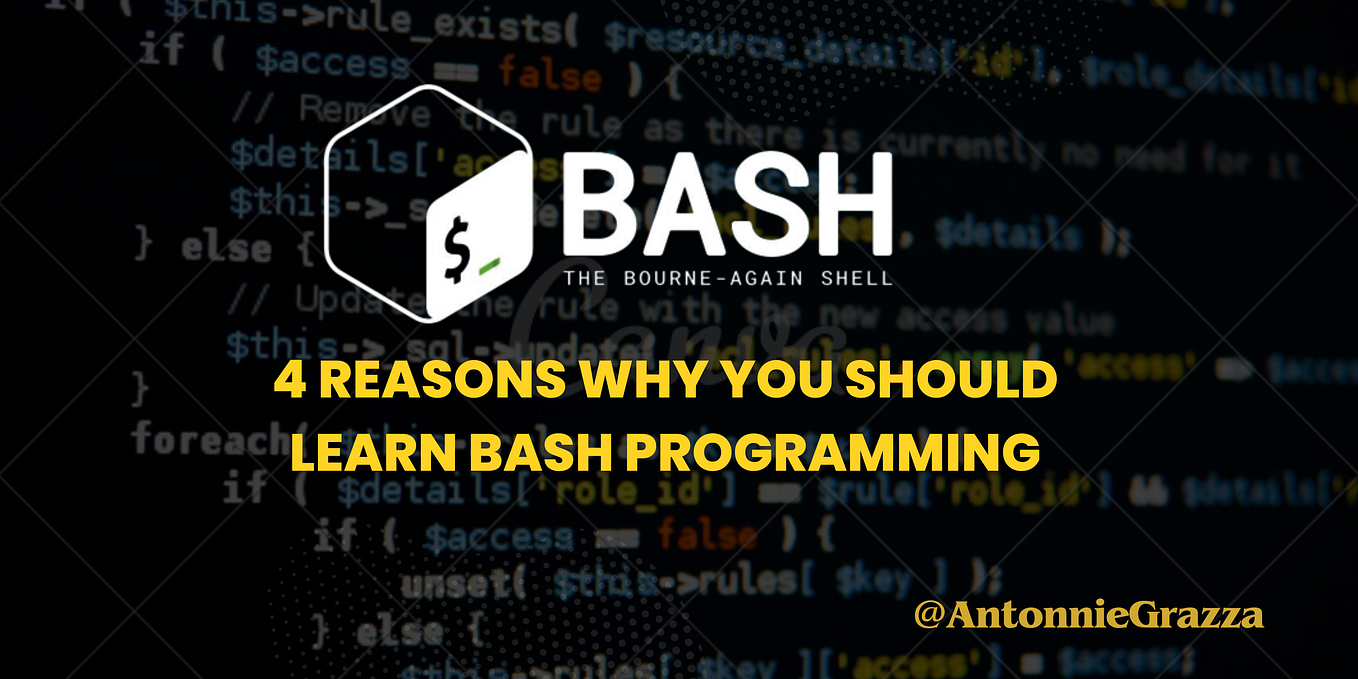 Racing to the Future of Coding with 5 Standout Features of V Programming in 2023 | by Antonnie ...