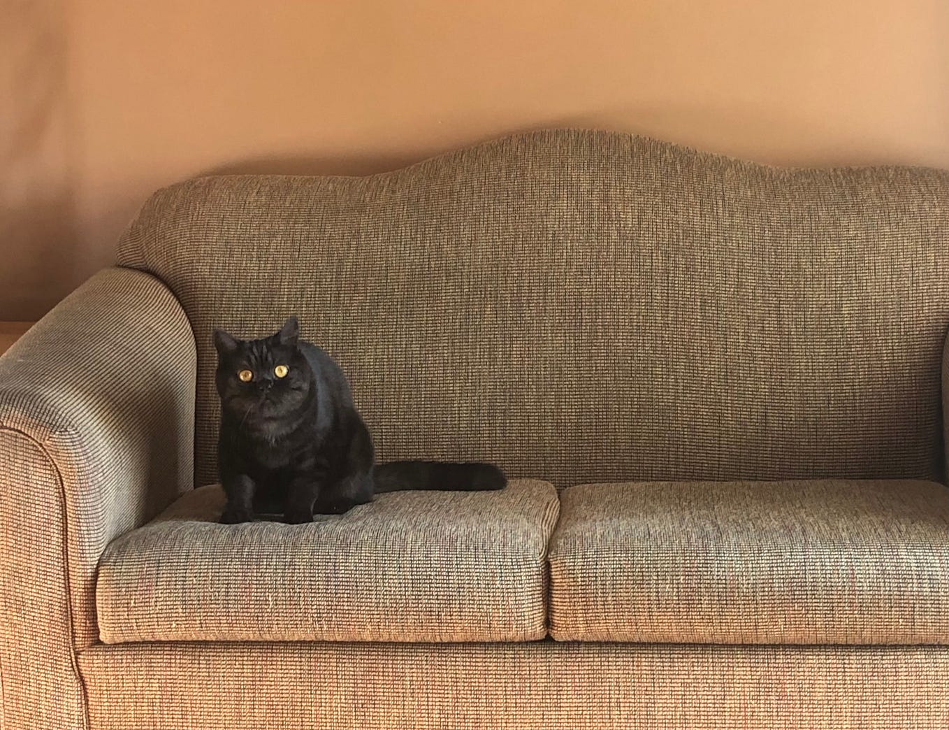 Active Learning in Classification — Query Strategies | by Shannon Rong | Medium