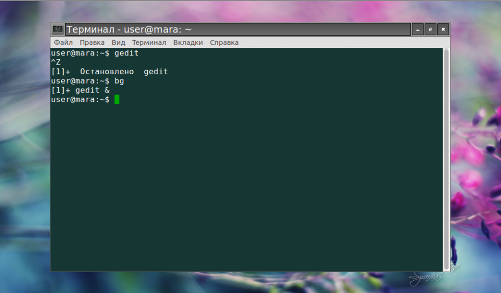 Mastering Merge Conflict Resolution in Git: A Complete Guide for Developers | by Amit Mishra ...