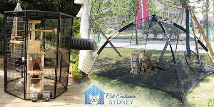 Cat Enclosure Sydney. Cat kennels may be permanent or… | by Cat ...