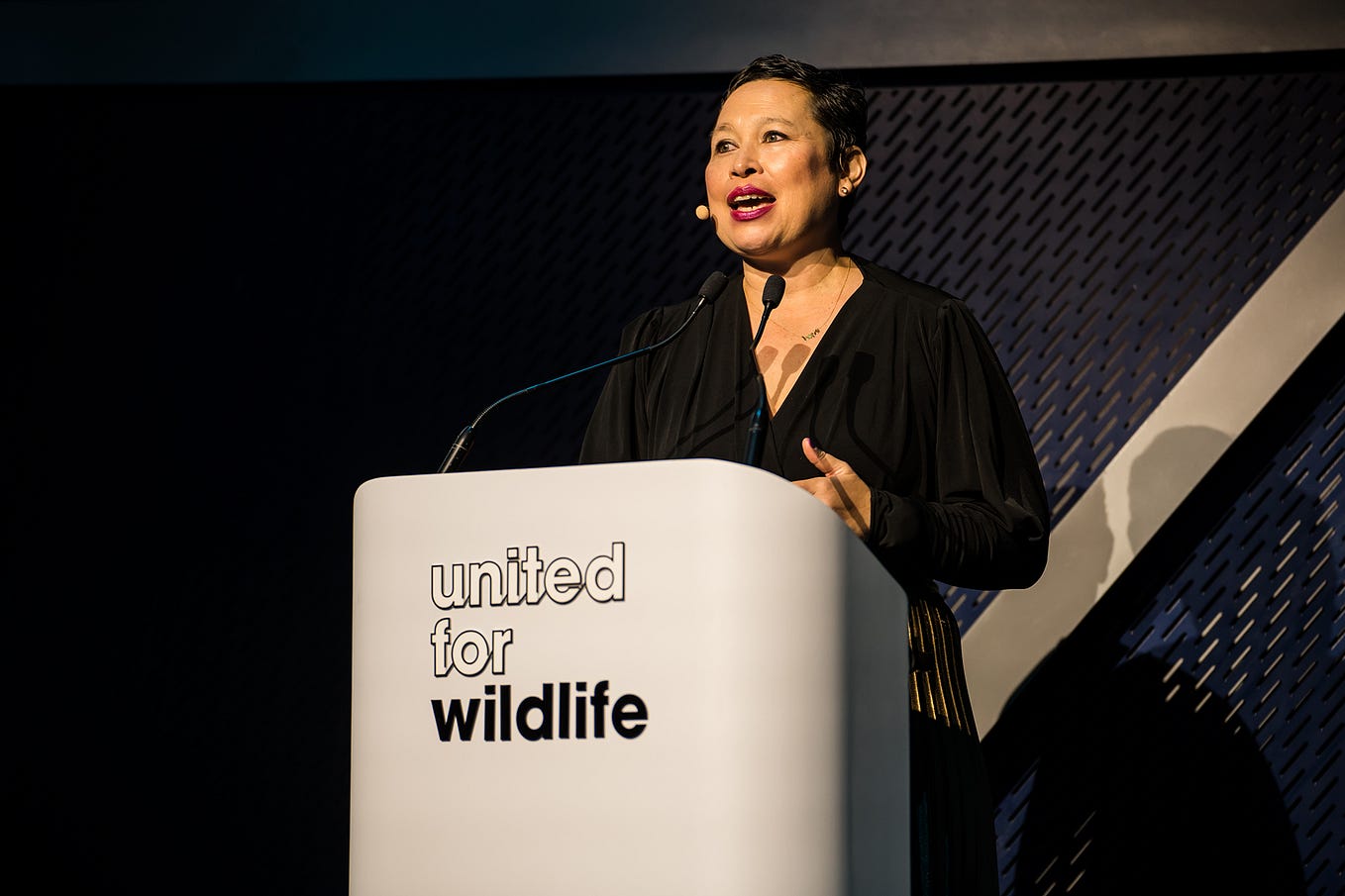 What the World Needs Now is Connectivity, Sweet Connectivity | by WWF ...