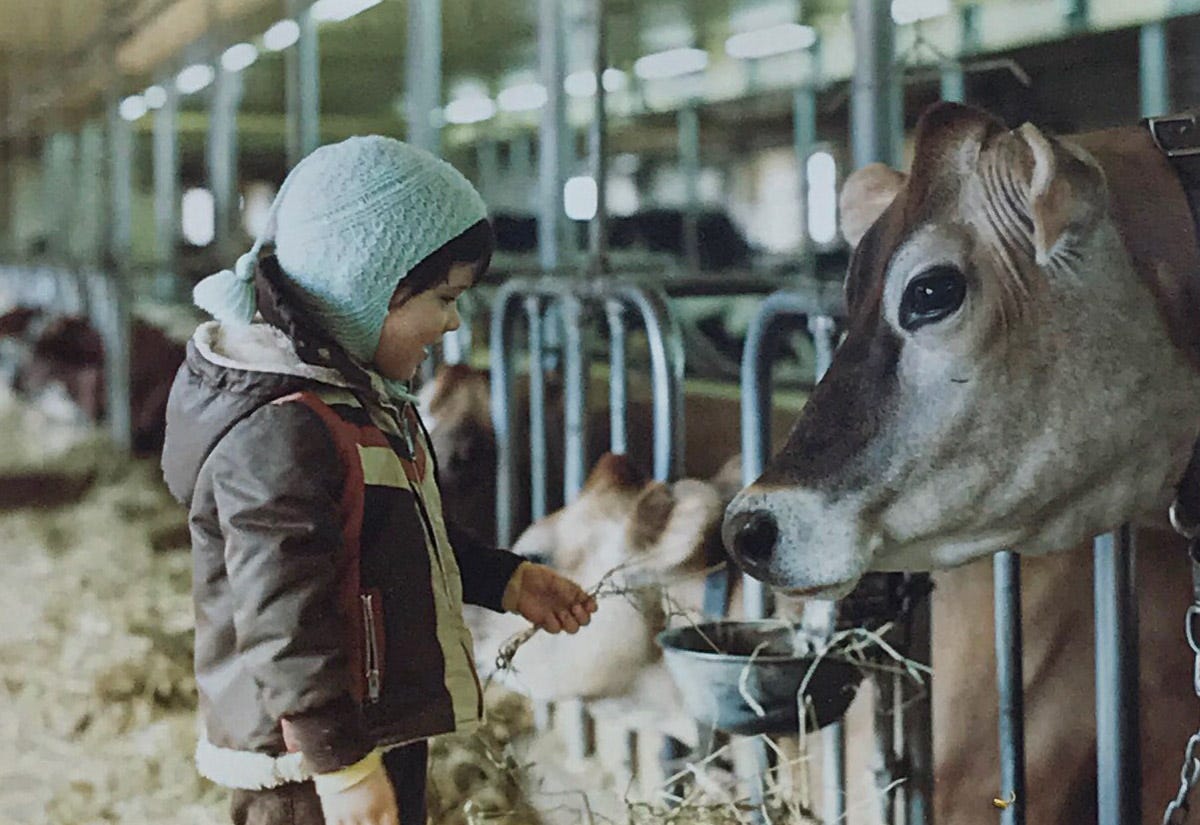 We Animals Media: Telling Animal Stories | by We Animals | Medium