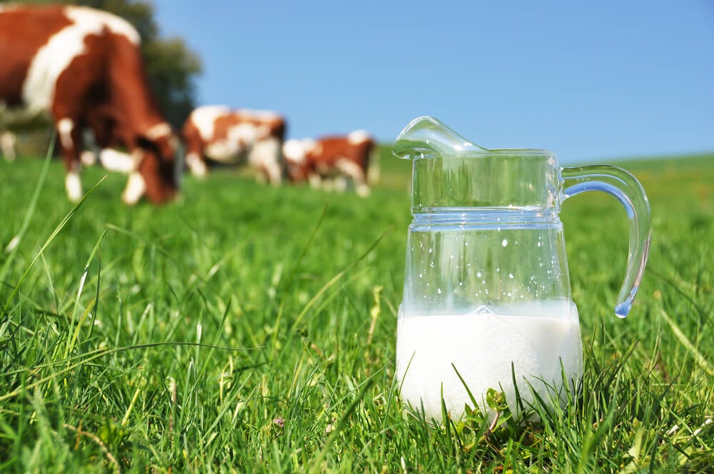 Milk Product Home Delivery In Gurgaon | by Milkor | Medium