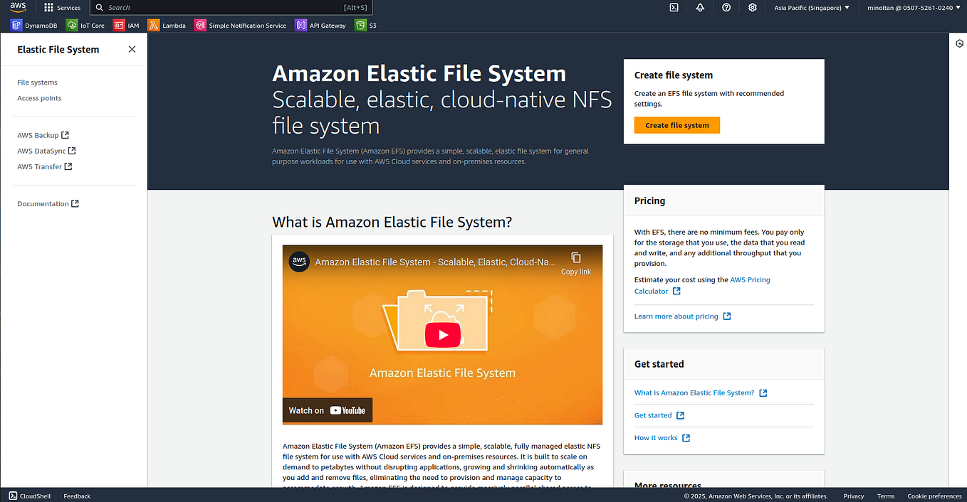 AWS NAT Gateway and NAT Instance: A Simple Guide for AWS Enthusiasts | by FpeSre | AWS in Plain ...