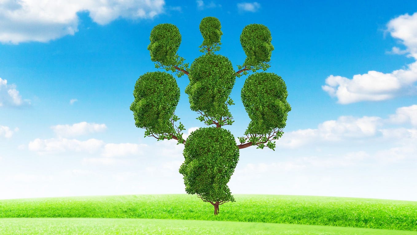 Demystifying Decision Trees. Explained from scratch, step by step | by Andrea Ianni | Towards AI